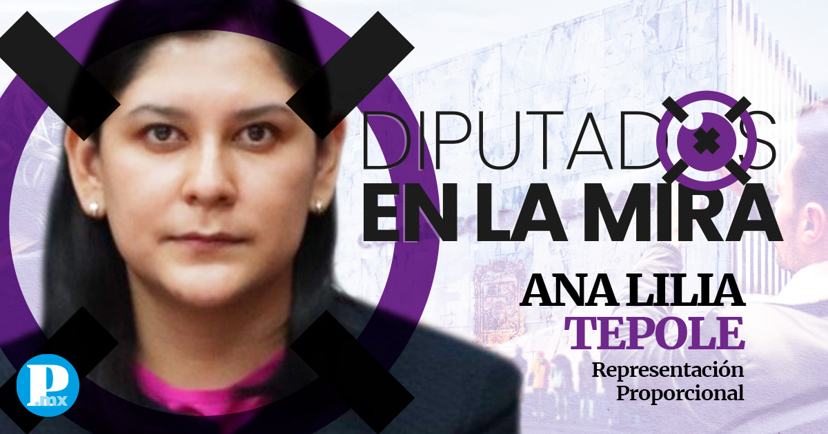 Ana Lilia Tepole, la diputada que solo cursó la preparatoria