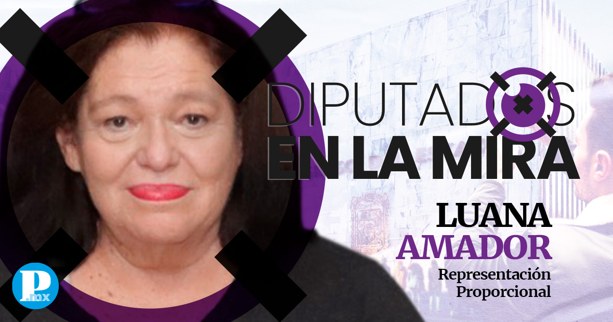 Luana Amador, una diputada a favor de las personas con discapacidad