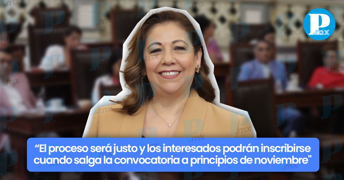 Convocatoria para elegir titular de la ASE se lanza en noviembre: Laura ...