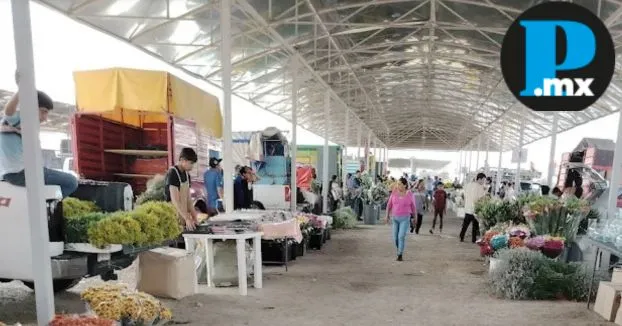 Clausuran mercado de flores en Huejotzingo; comerciantes amenazan con ...