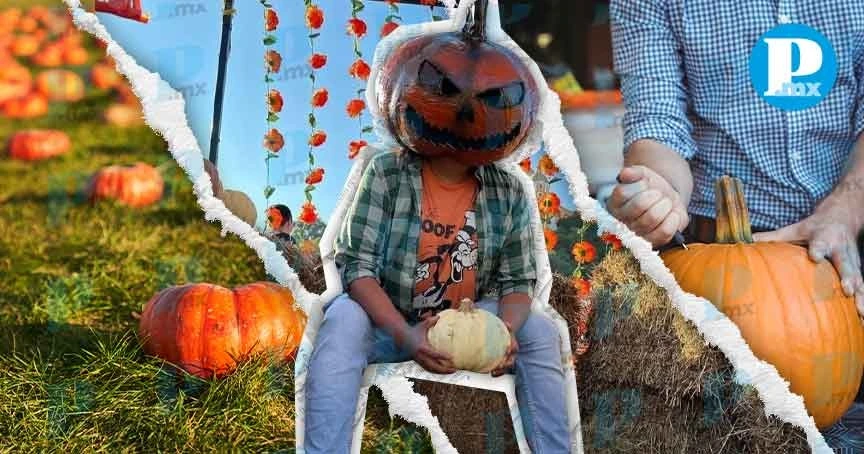El festival Pumpkin Zone 2025 que llega a Puebla con calabazas, terror ...