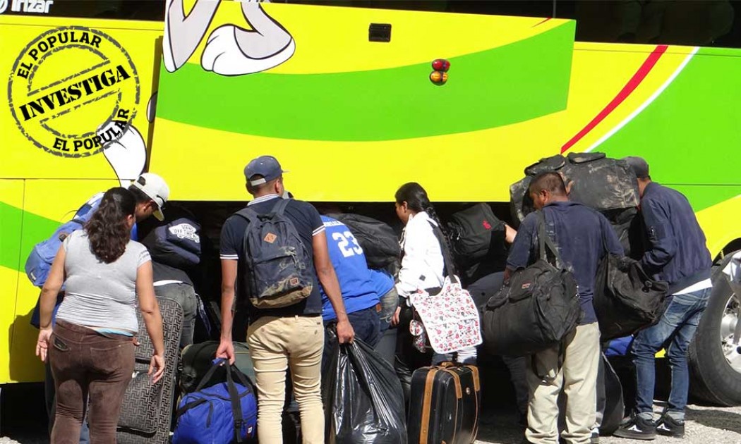 Compite migración nacional con la internacional