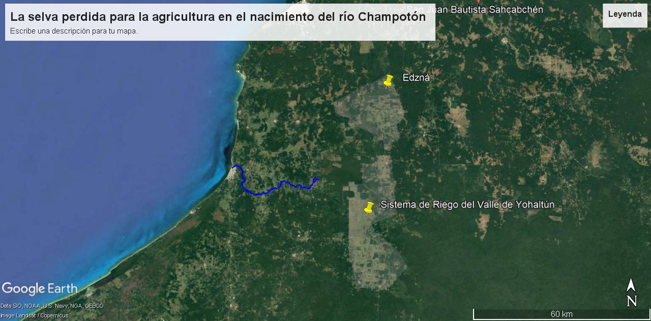 Río Champotón: el paraíso recuperado de los cocodrilos en México ...
