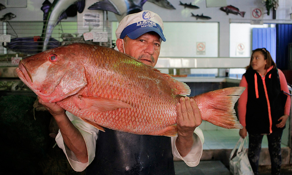 ¿Por qué se come pescado en Cuaresma?