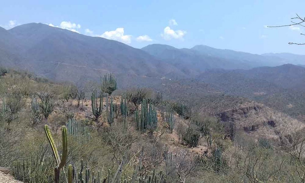 Zapotitlán, lejos de poder ser Pueblo Mágico