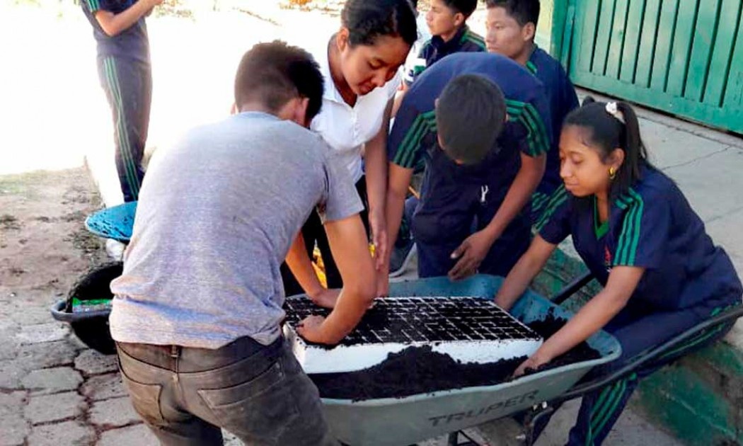 Producen jitomate en el CBTA 110