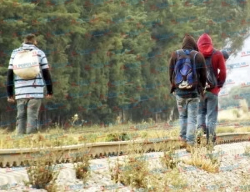 Migrar, una forma de vida