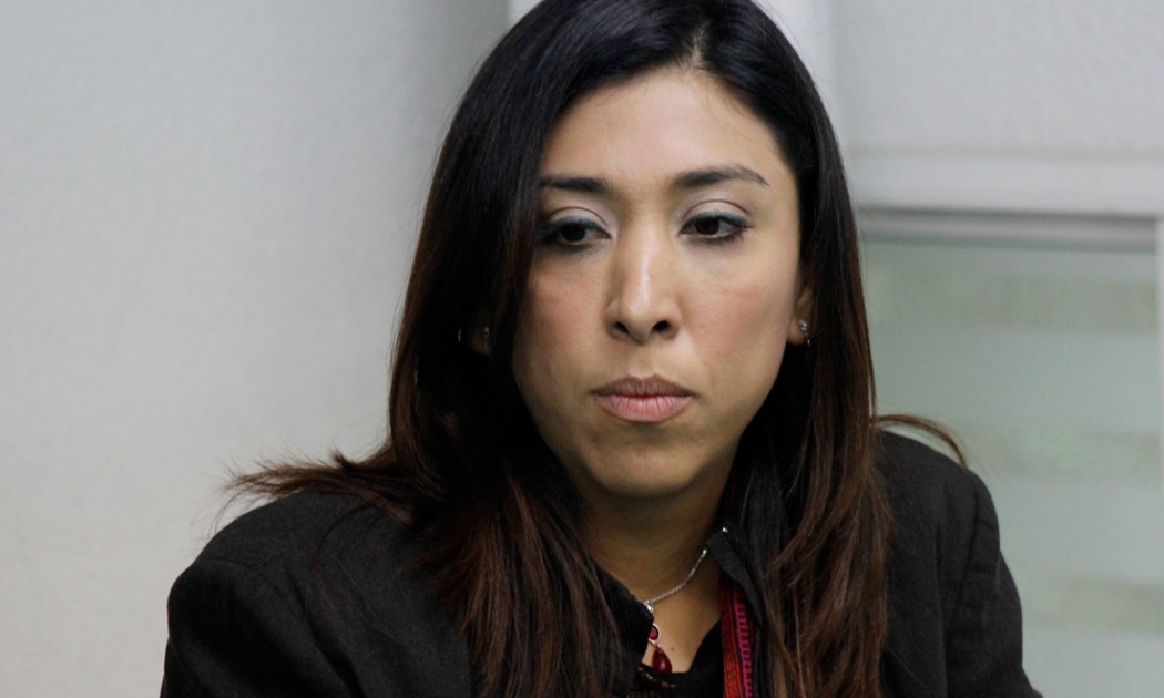 PVEM registra a Norma Pimentel para diputada federal