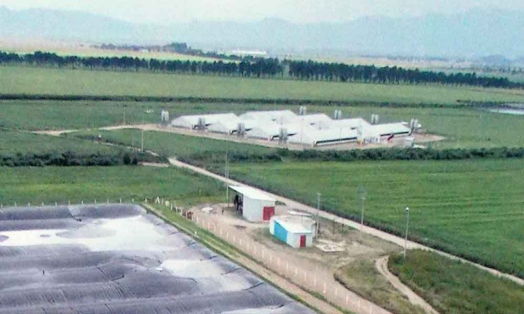 Arranca nueva Granja Carroll