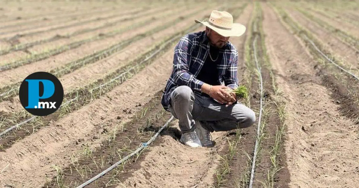 Antonio Valente, de campesino a presunto líder huachicolero en Quecholac