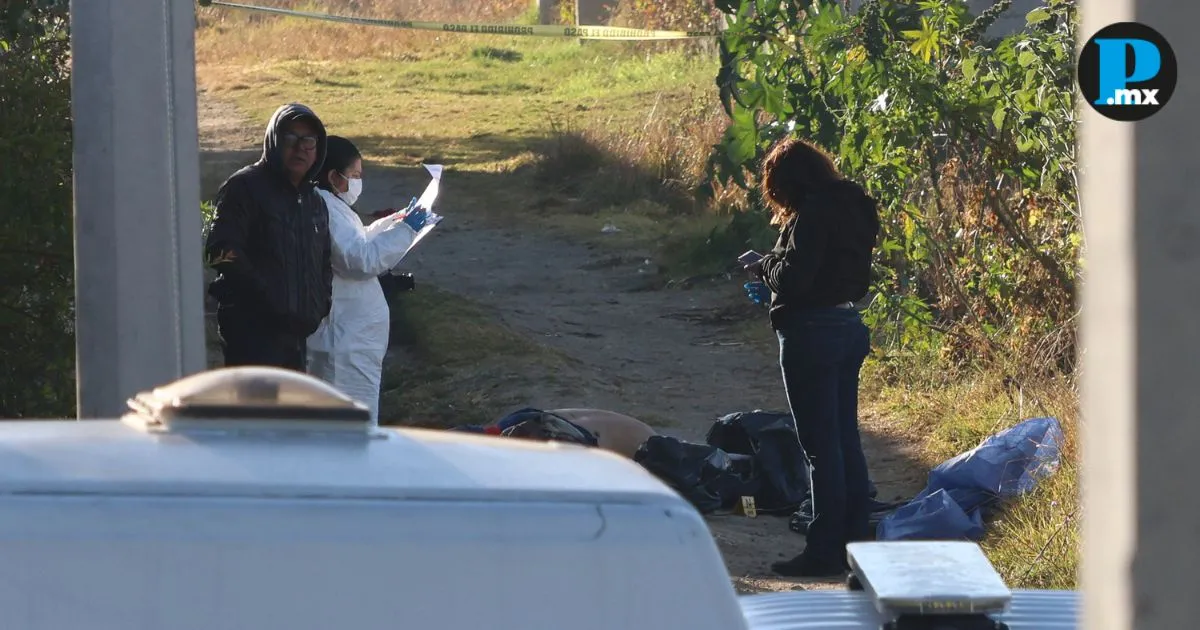 Encuentran dos cuerpos embolsados en la junta auxiliar de San Sebastián ...